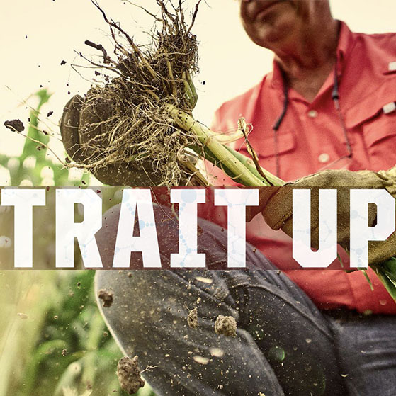 Corn Traits – Bayer Traits and Systems – Blaine Loyd