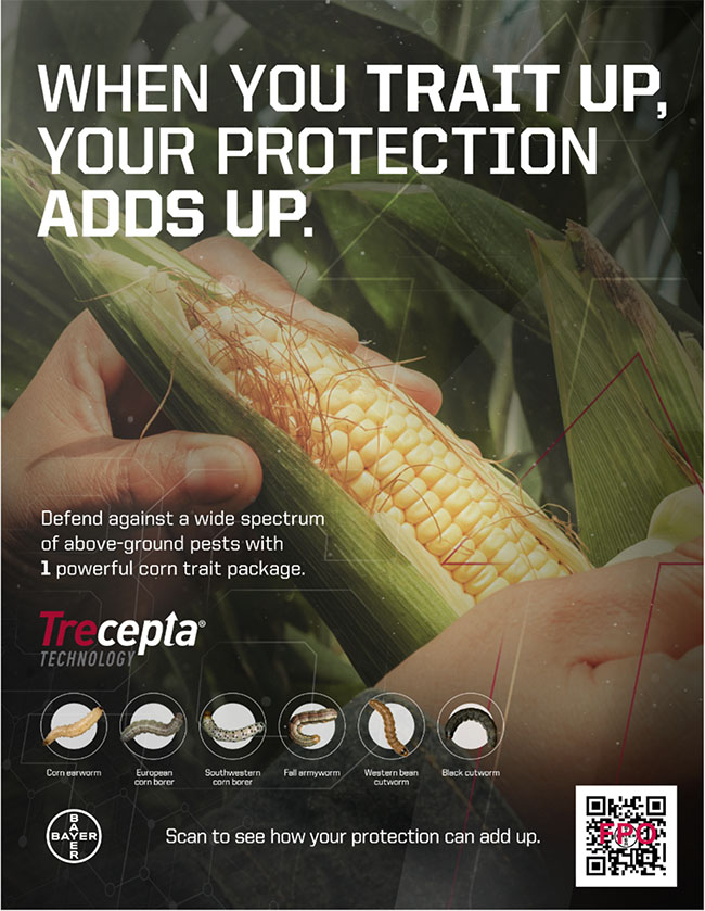 Corn Traits – Bayer Traits and Systems – Blaine Loyd